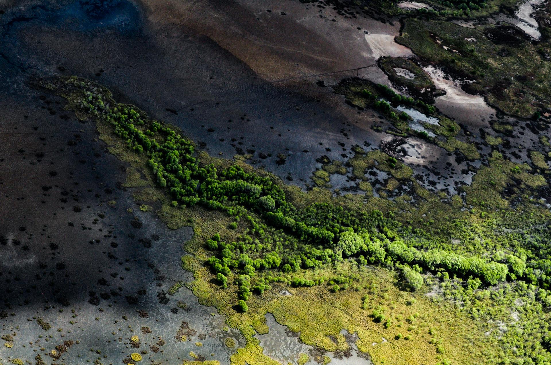 THE REEF AS SOCIETY: ONTOLOGY BEFORE ECOLOGY – .ROADMENDER